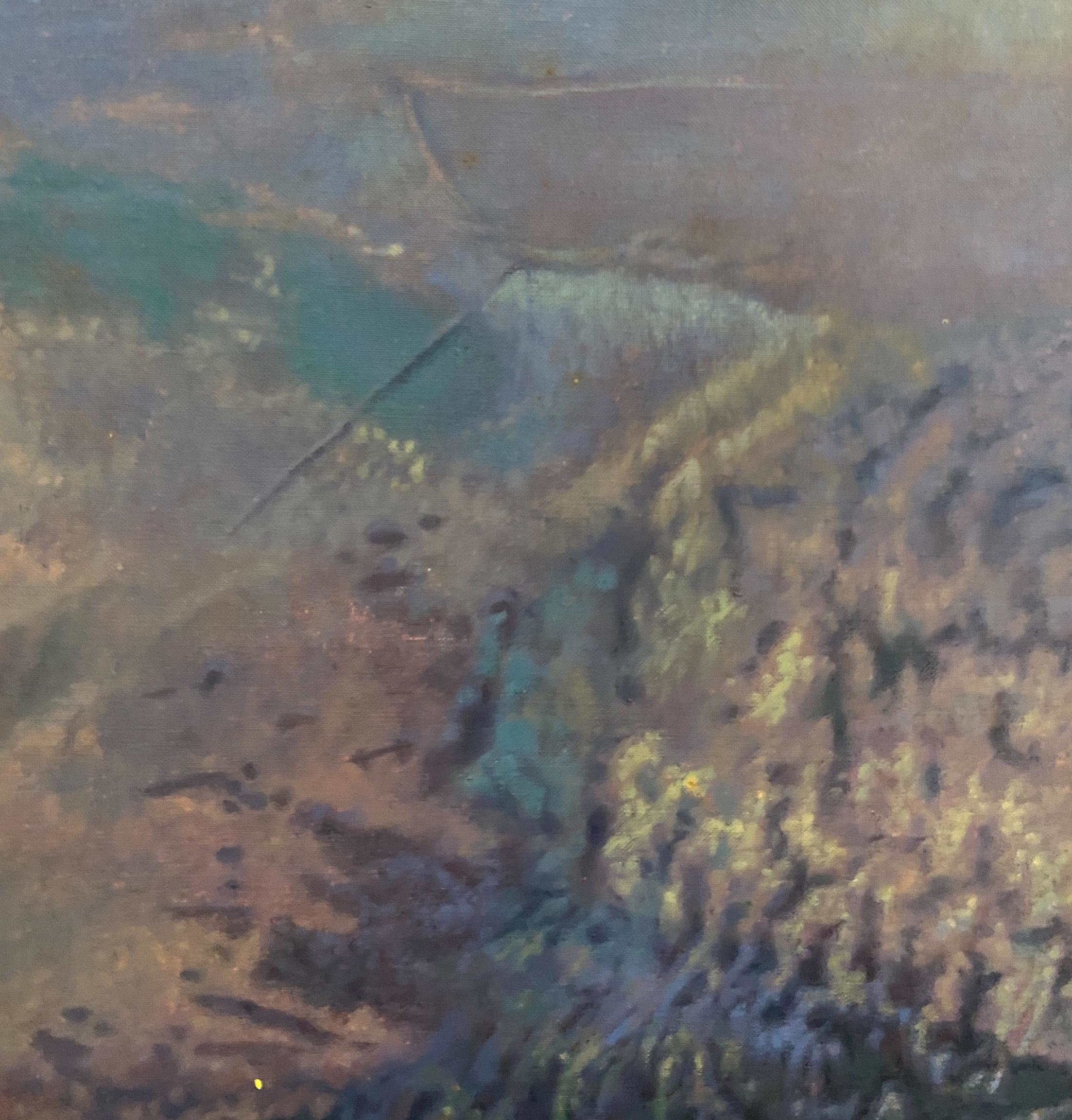 Peter Munro | Plane Over Canadian Forest | MutualArt