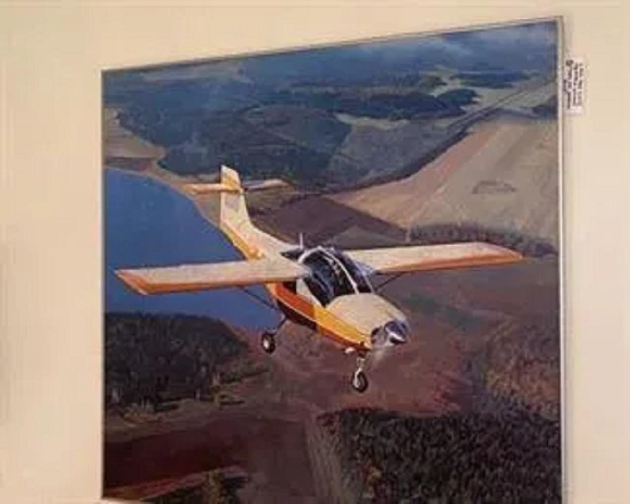 Peter Munro | Plane Over Canadian Forest | MutualArt