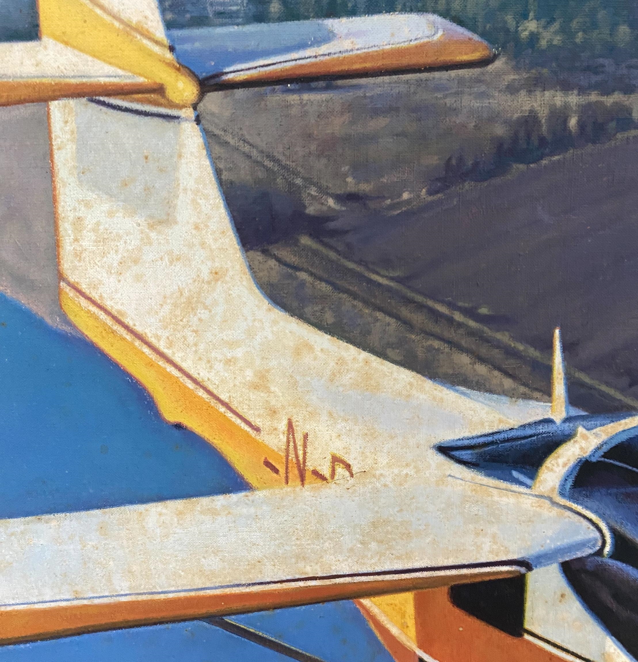 Peter Munro | Plane Over Canadian Forest | MutualArt