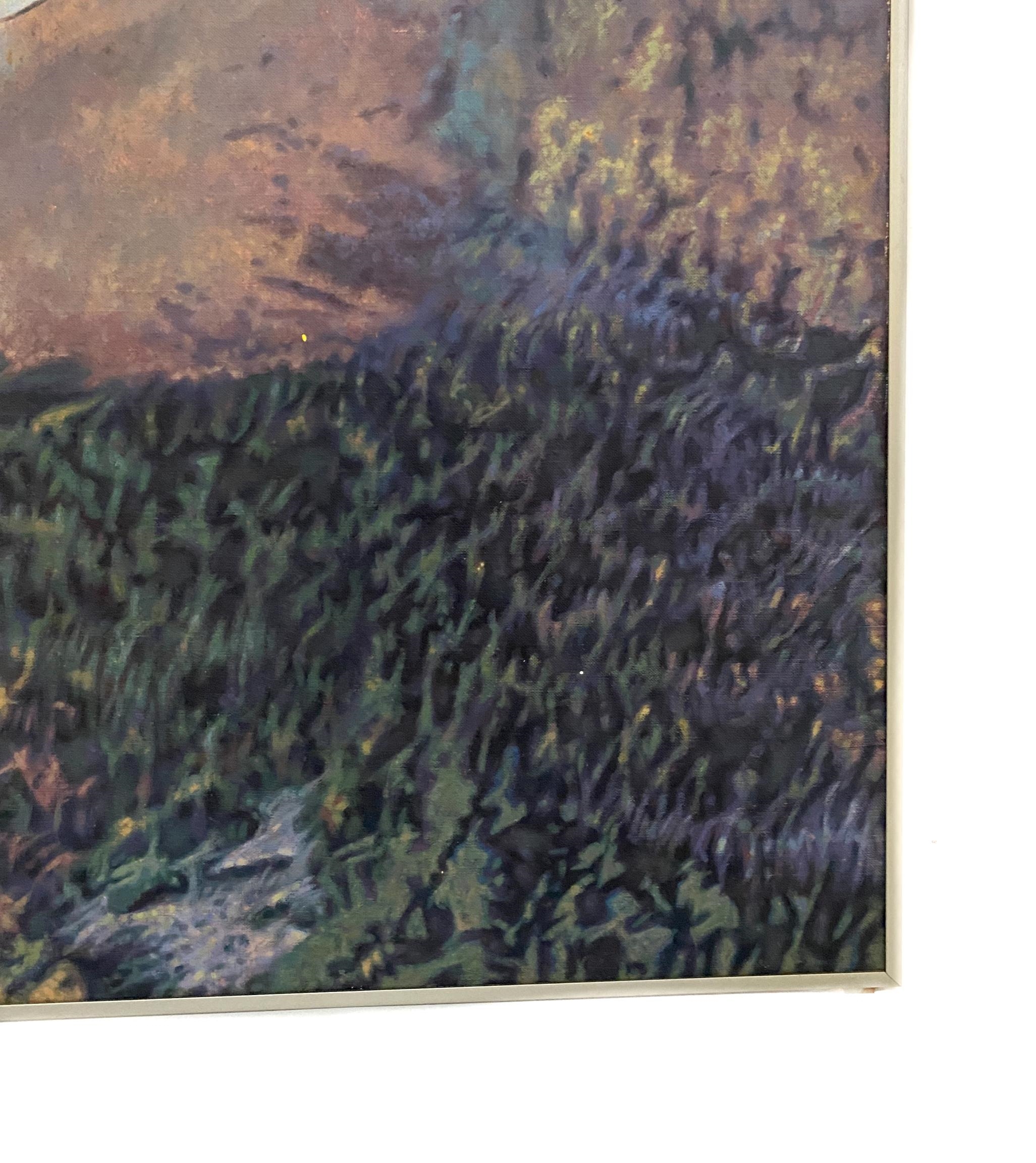 Peter Munro | Plane Over Canadian Forest | MutualArt
