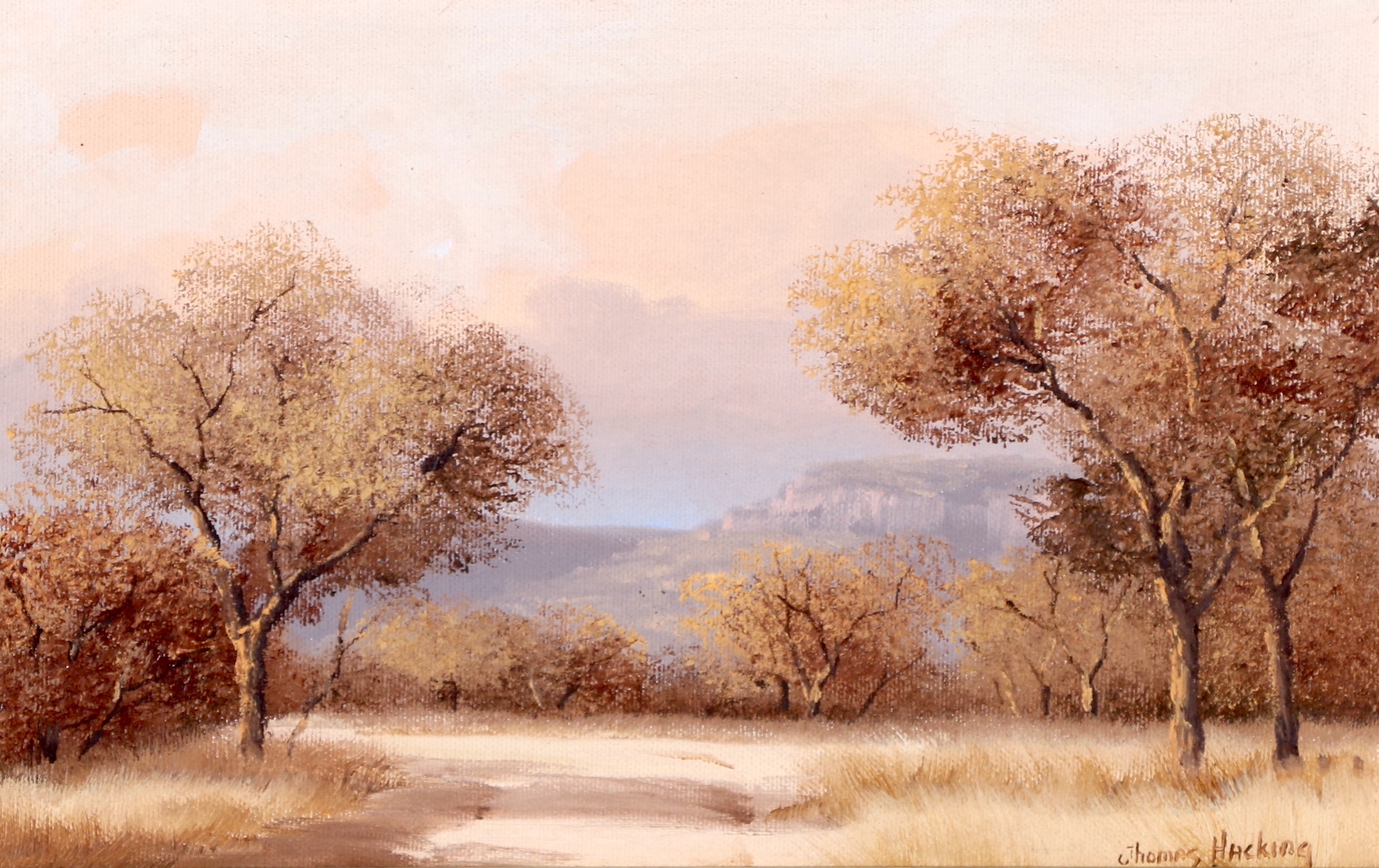 Thomas Hacking | BUSHVED SCENE | MutualArt