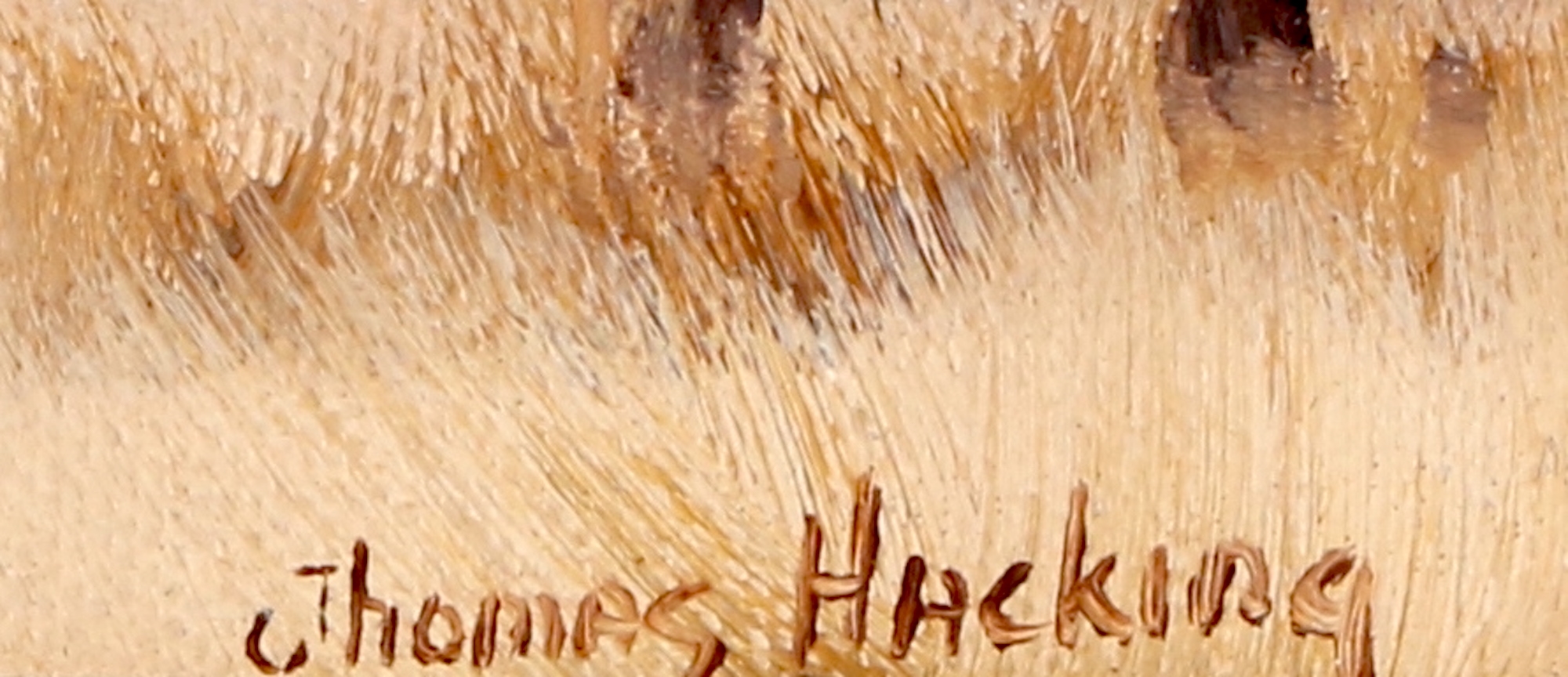 Thomas Hacking | BUSHVED SCENE | MutualArt