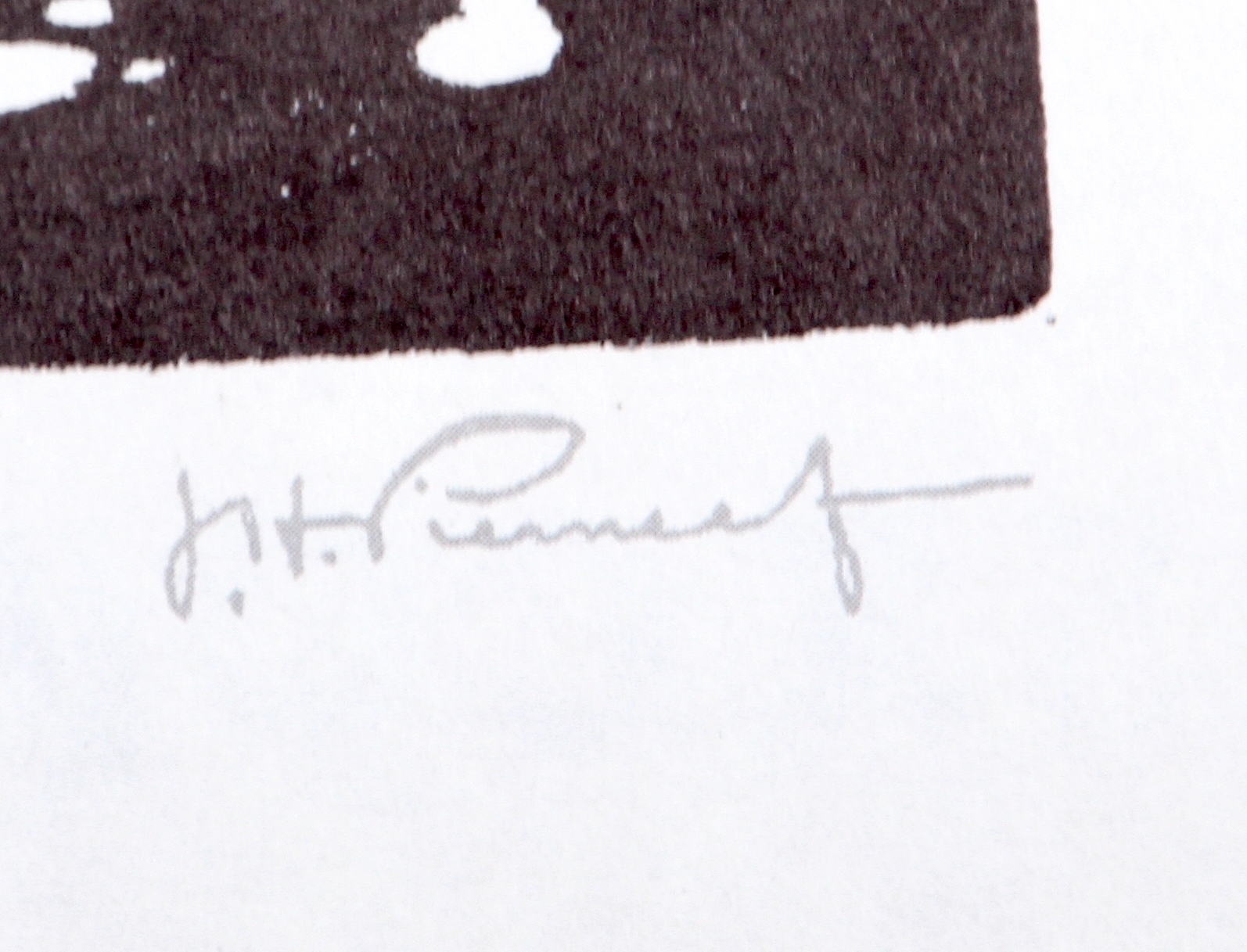 Jacob Hendrik Pierneef | WILGERBOOM ON SOMER TRANSVAAL | MutualArt