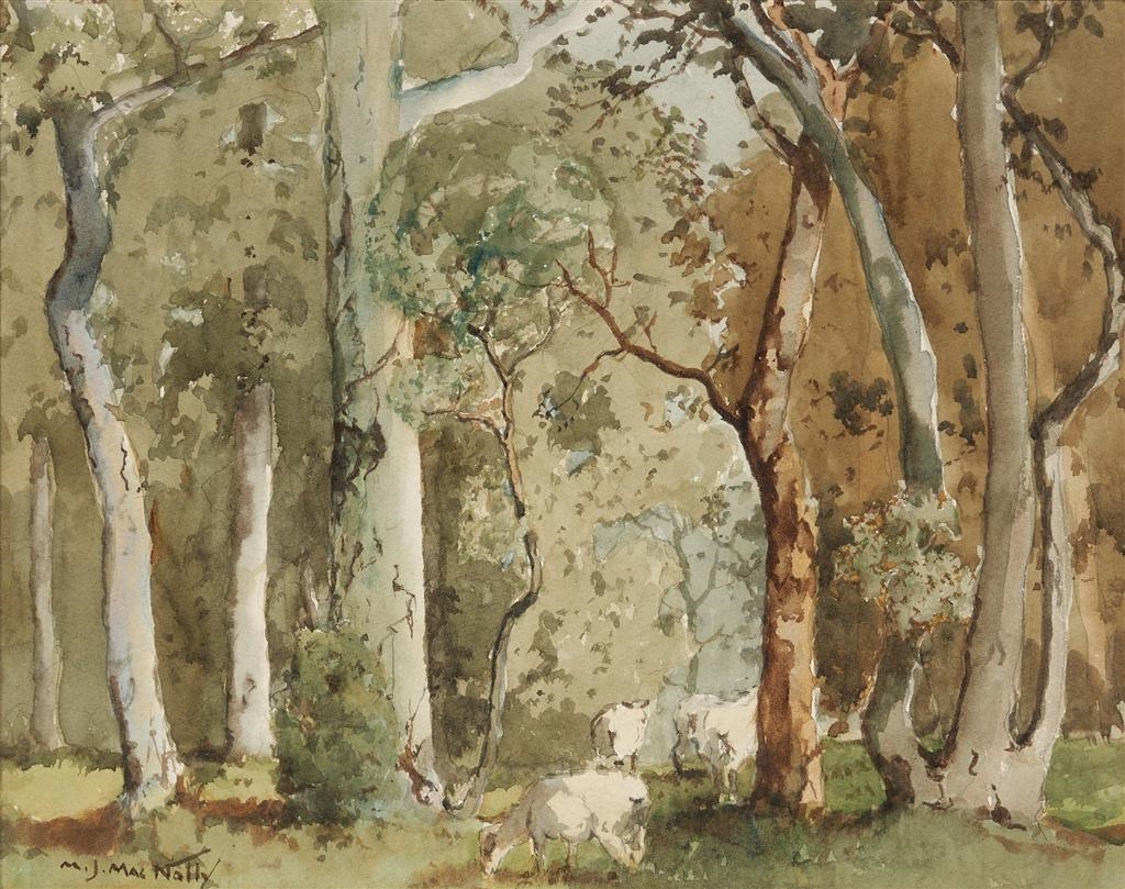 Matthew James MacNally | Gum Trees | MutualArt