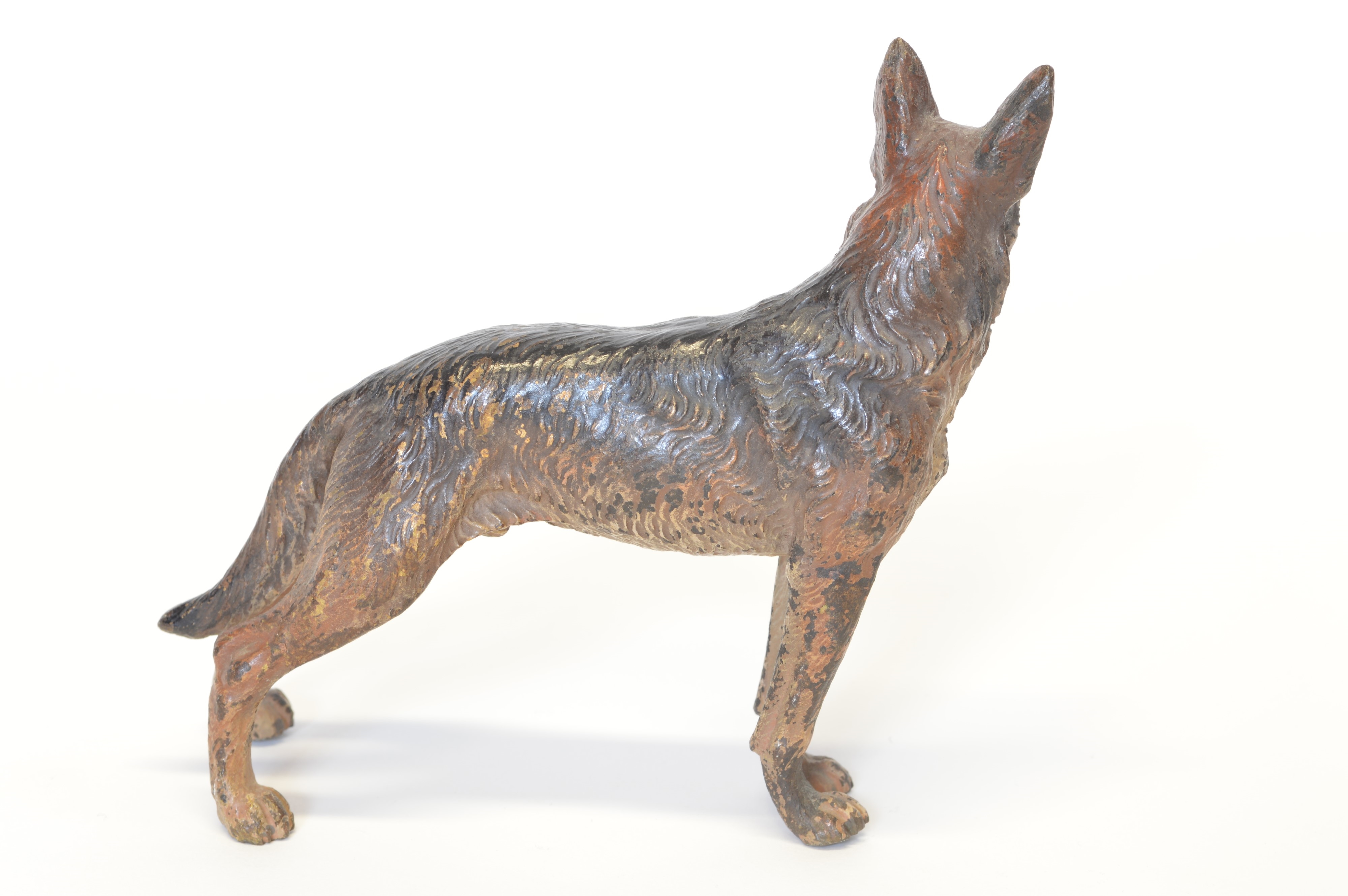 Franz Bergman‏ | Cold painted bronze Dog | MutualArt
