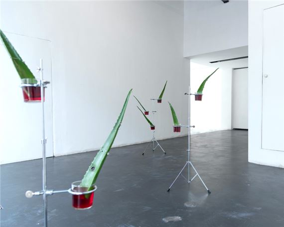 Finn Theuws | Artist Overview | MutualArt