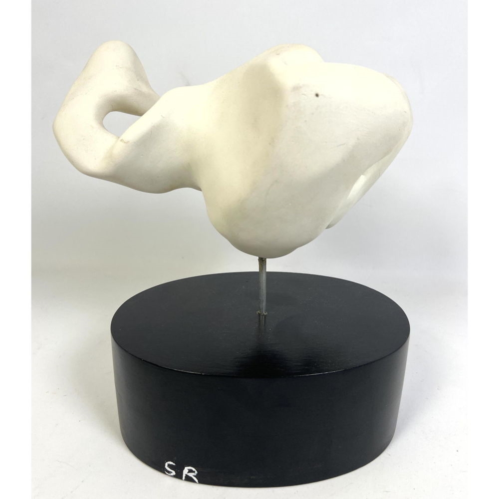 Jean Arp | S R biomorphic plaster sculpture | MutualArt