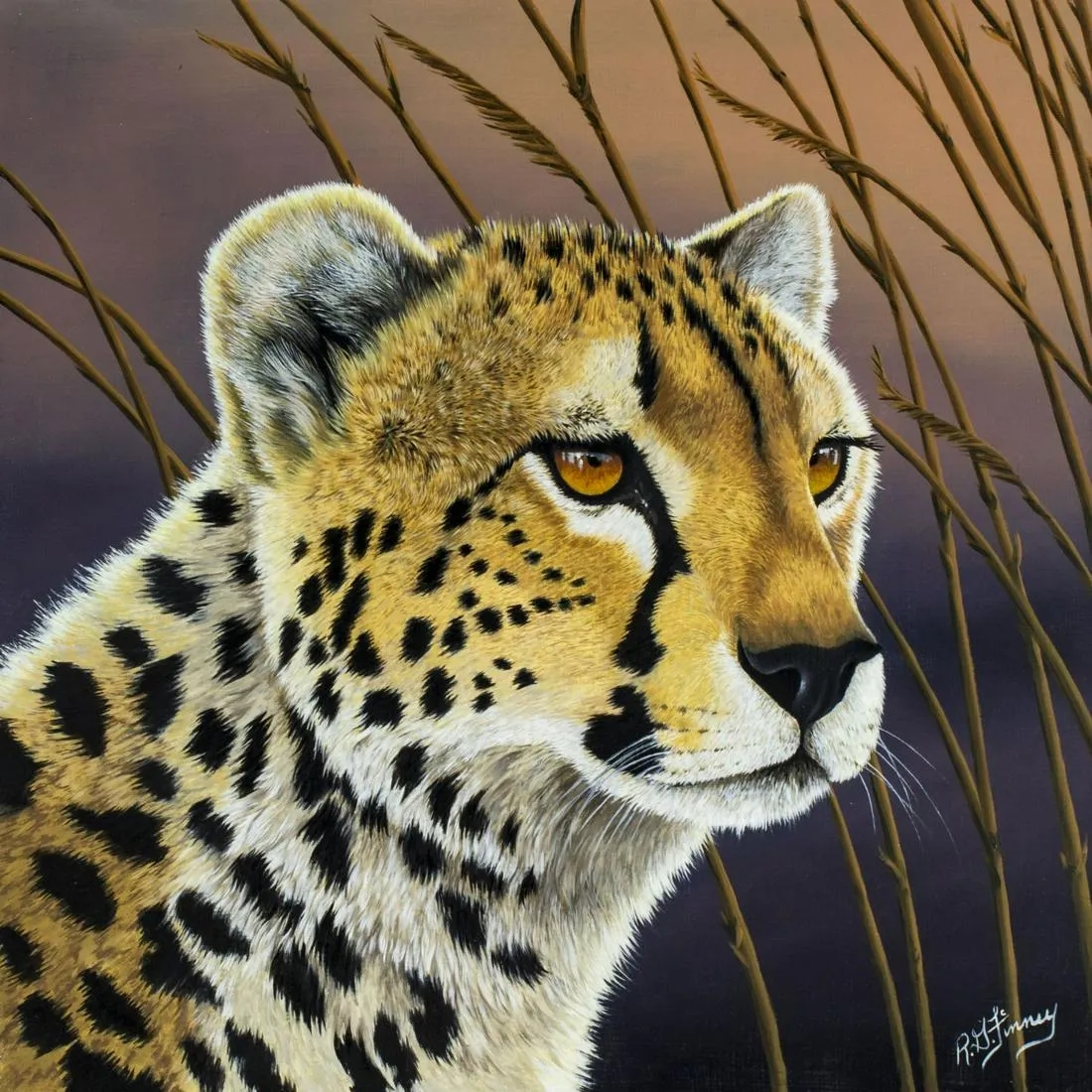 R. G. Finney | Cheetah (1995) | MutualArt