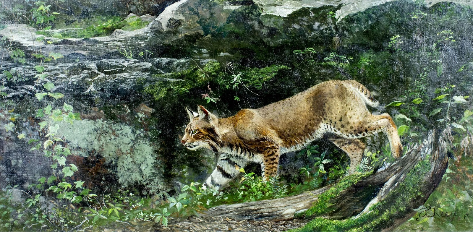 Travis Keese | Bobcat | MutualArt