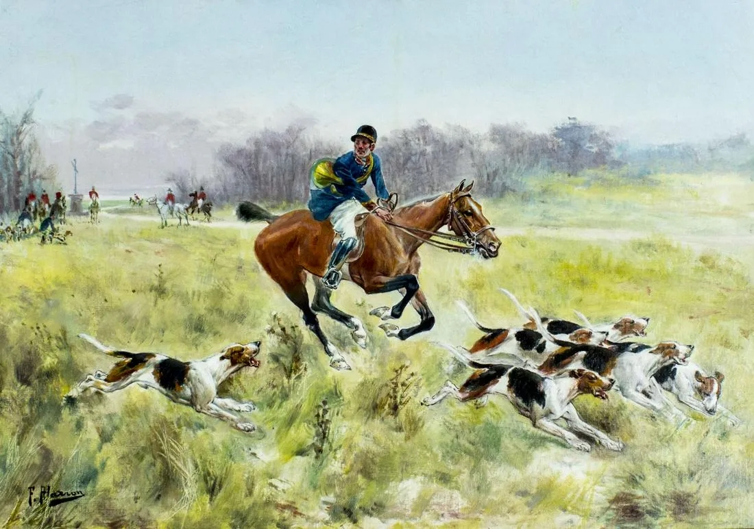 Fox Hunting Dogs