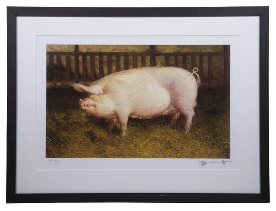 Jamie Wyeth | Portrait of a Pig (1970) | MutualArt