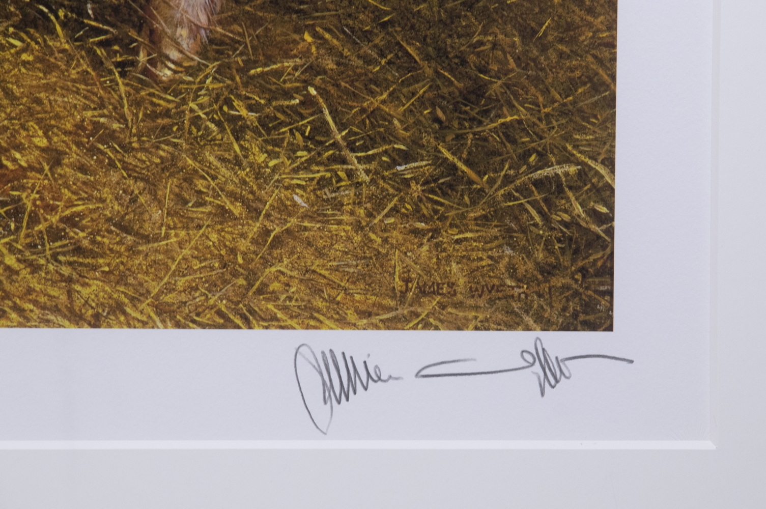 Jamie Wyeth | Portrait of a Pig (1970) | MutualArt