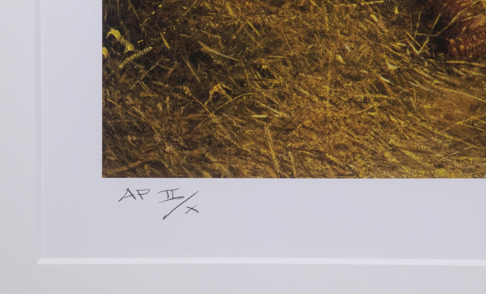 Jamie Wyeth | Portrait of a Pig (1970) | MutualArt