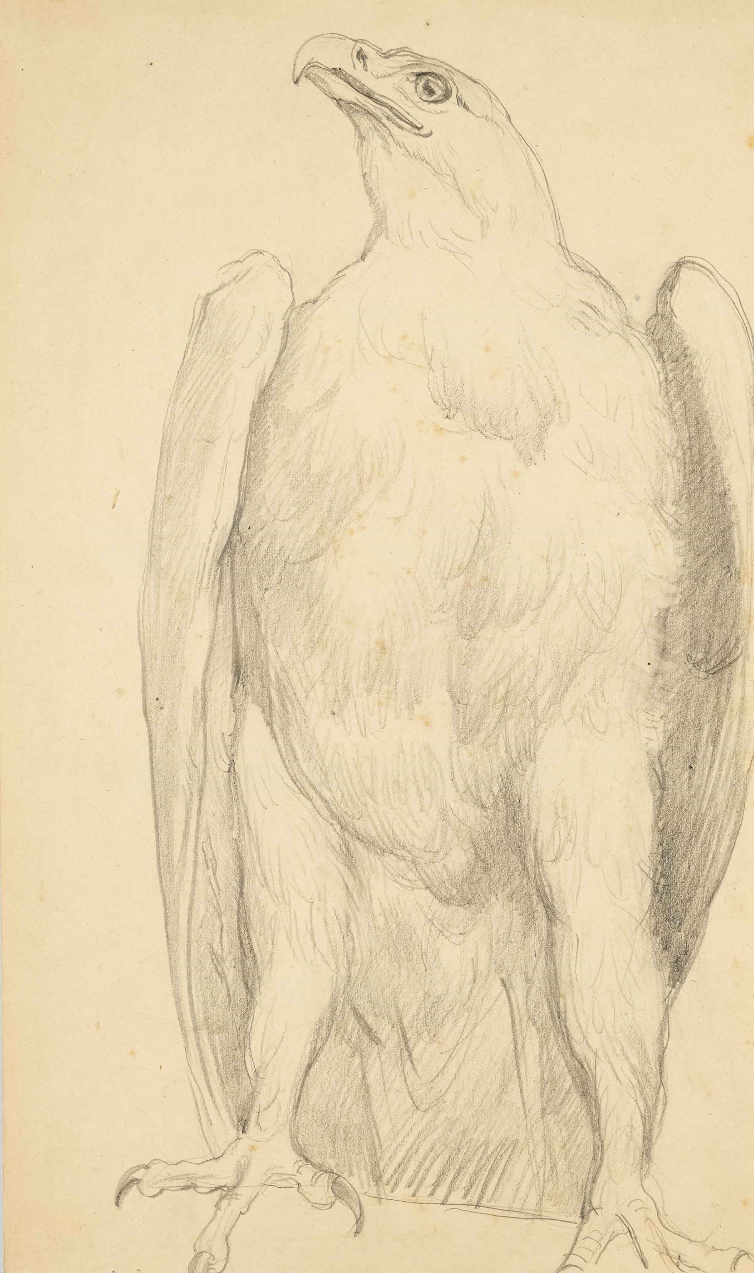 Max Bezner | Large estate of about 50 drawings | MutualArt