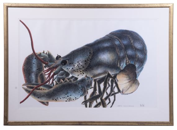 Nils Obel | Lobster Homarus Americanus | MutualArt