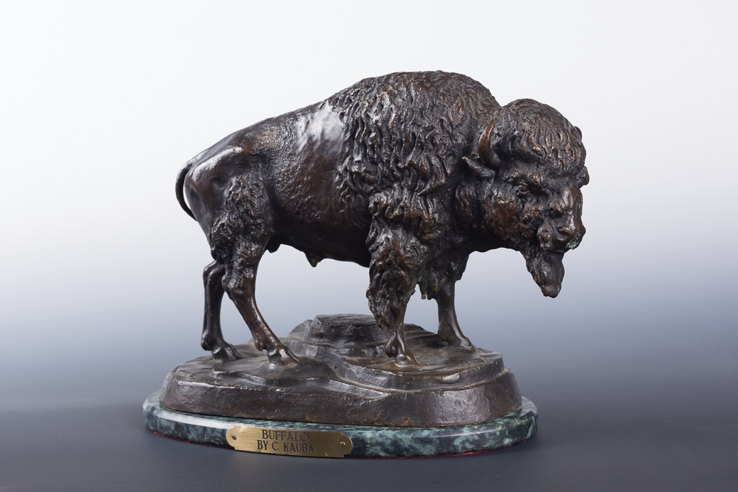 Carl Kauba | Buffalo | MutualArt