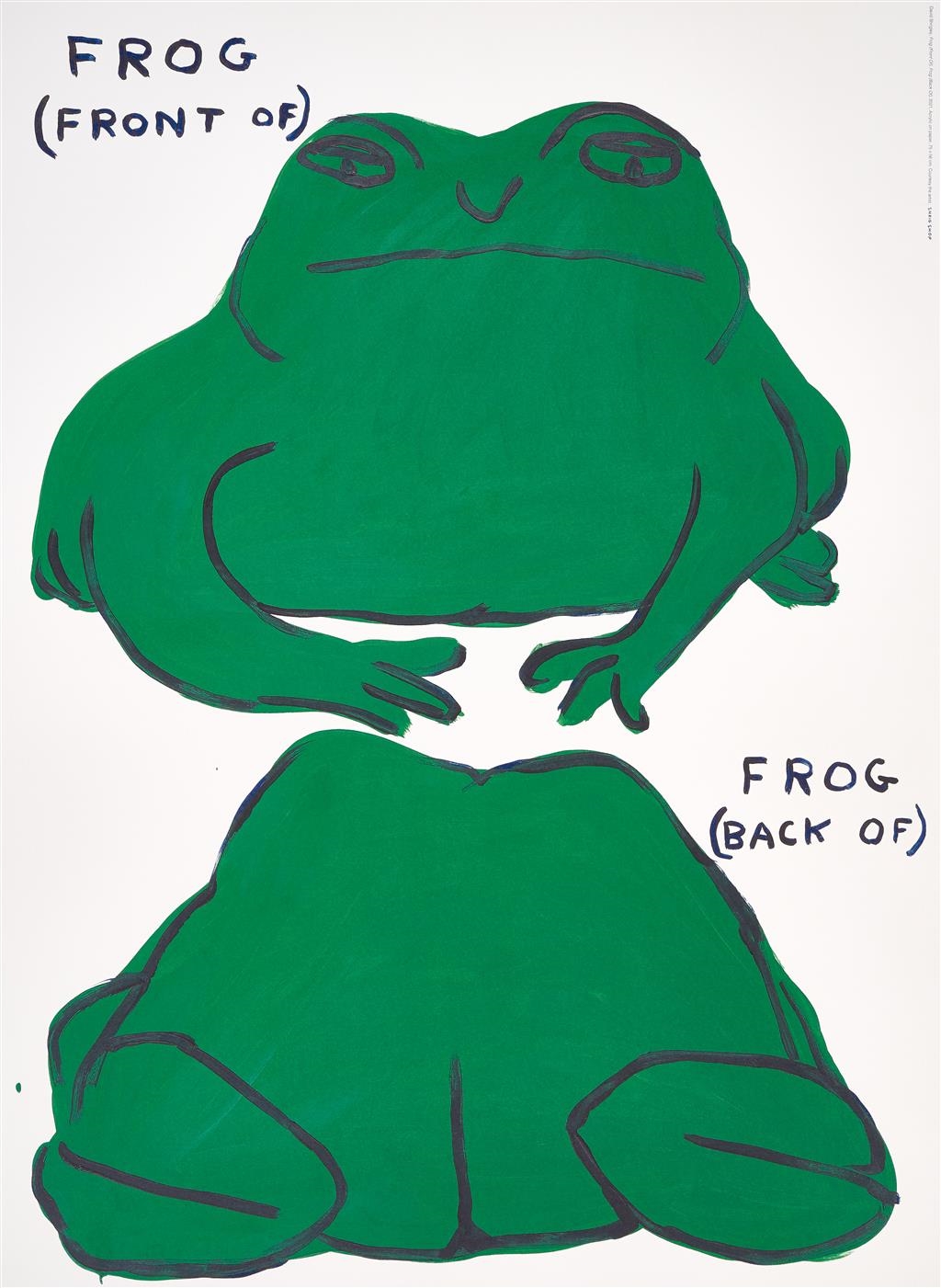 David Shrigley | Untitled (Frog Front and Back) (2021) | MutualArt