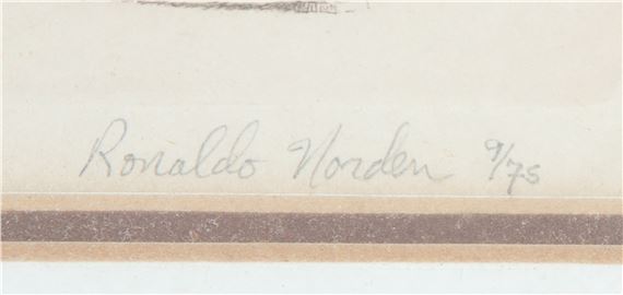 Ronaldo Norden | Building and Park | MutualArt