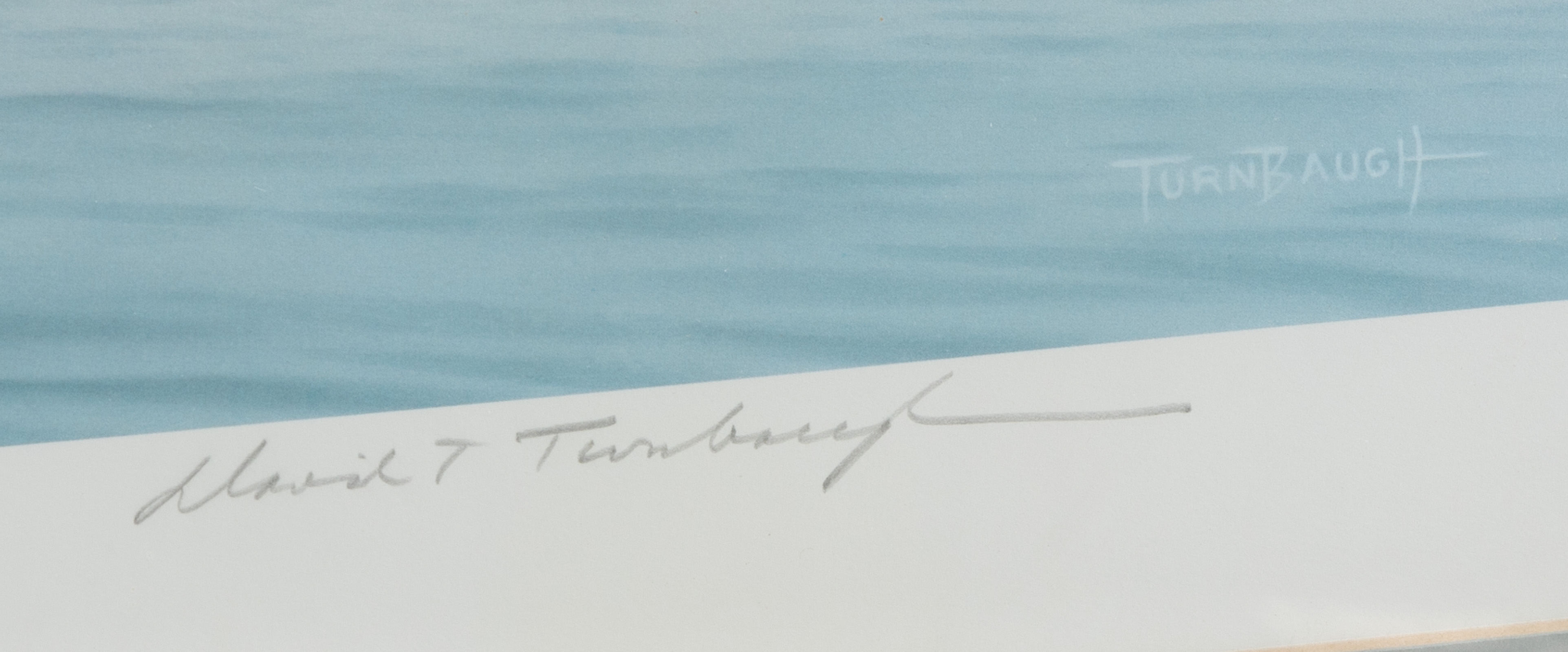 David Turnbaugh | The Elsworth | MutualArt