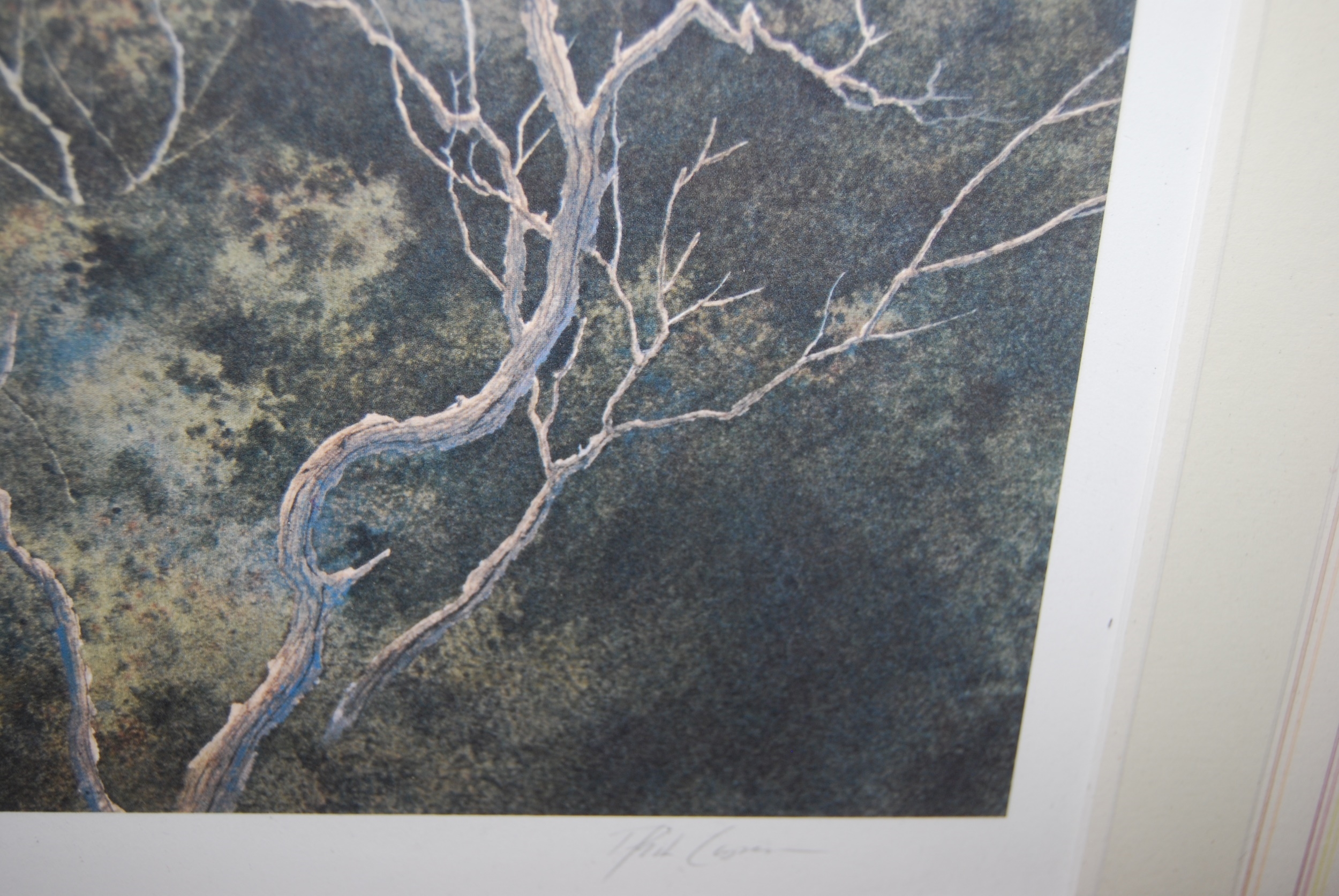 Phil Capen | - American Bald Eagle | MutualArt