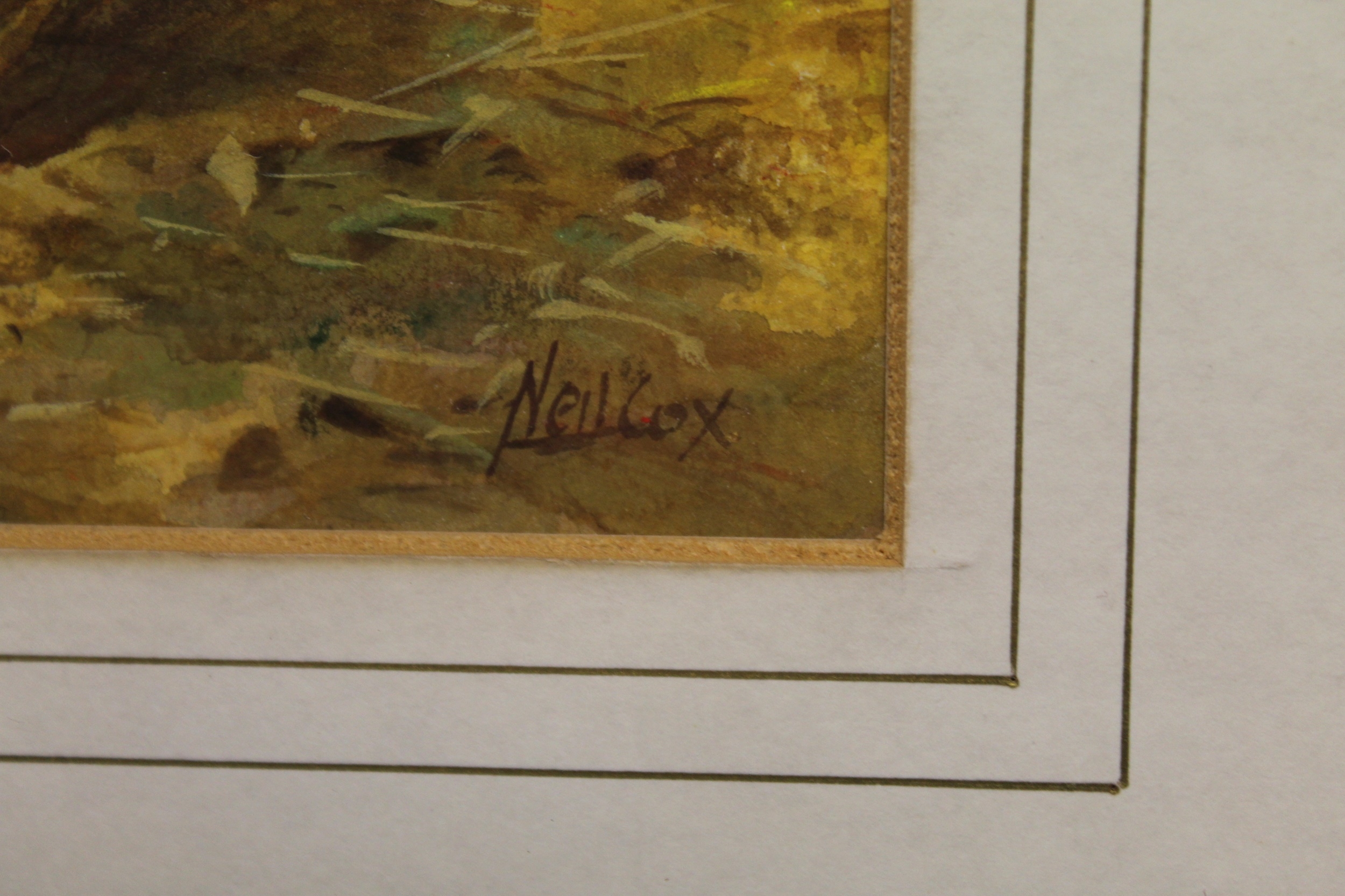 Neil Cox | - Chickens I | MutualArt