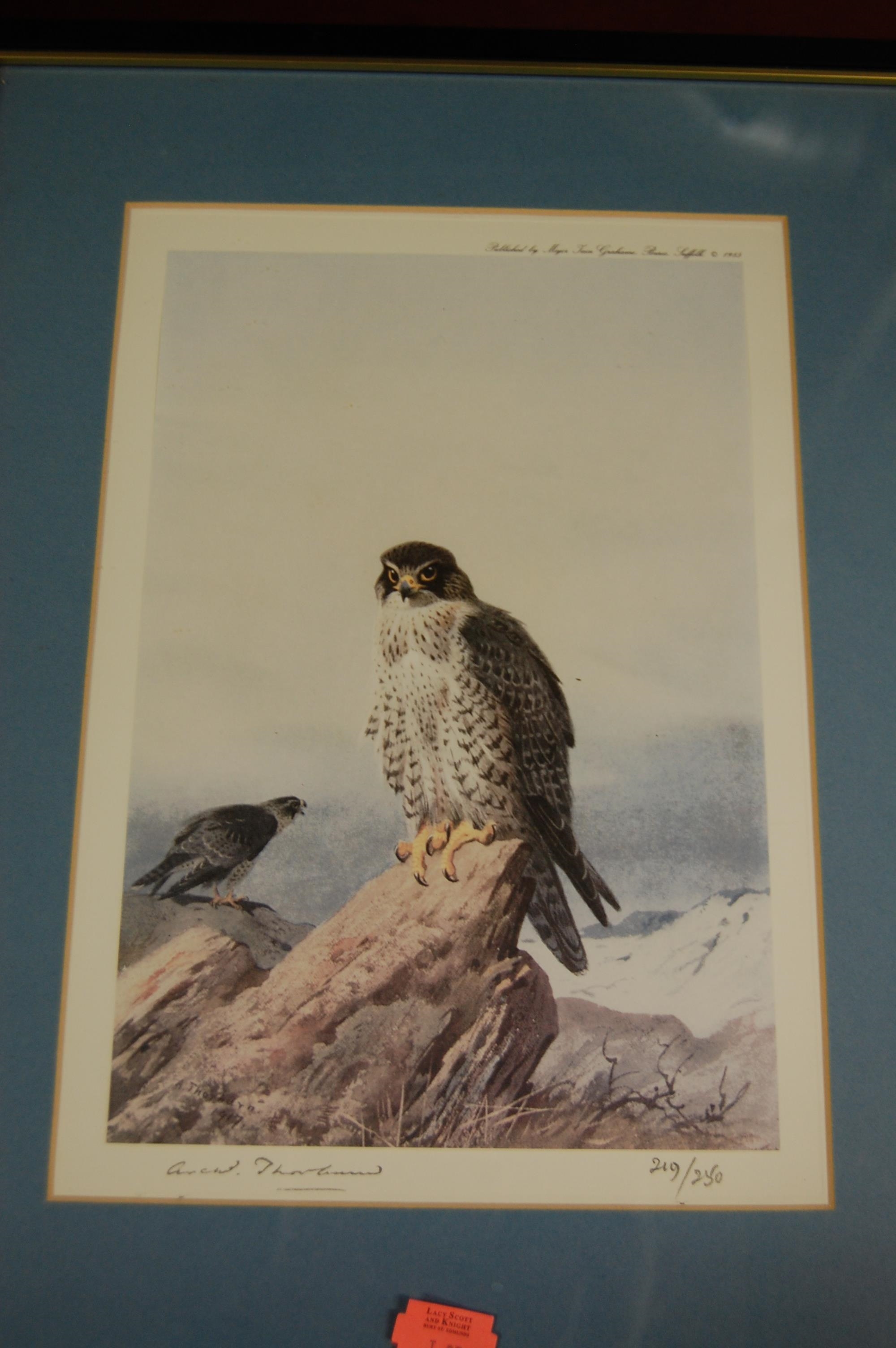 Archibald Thorburn | Archibald Thorburn - set of four limited edition ...