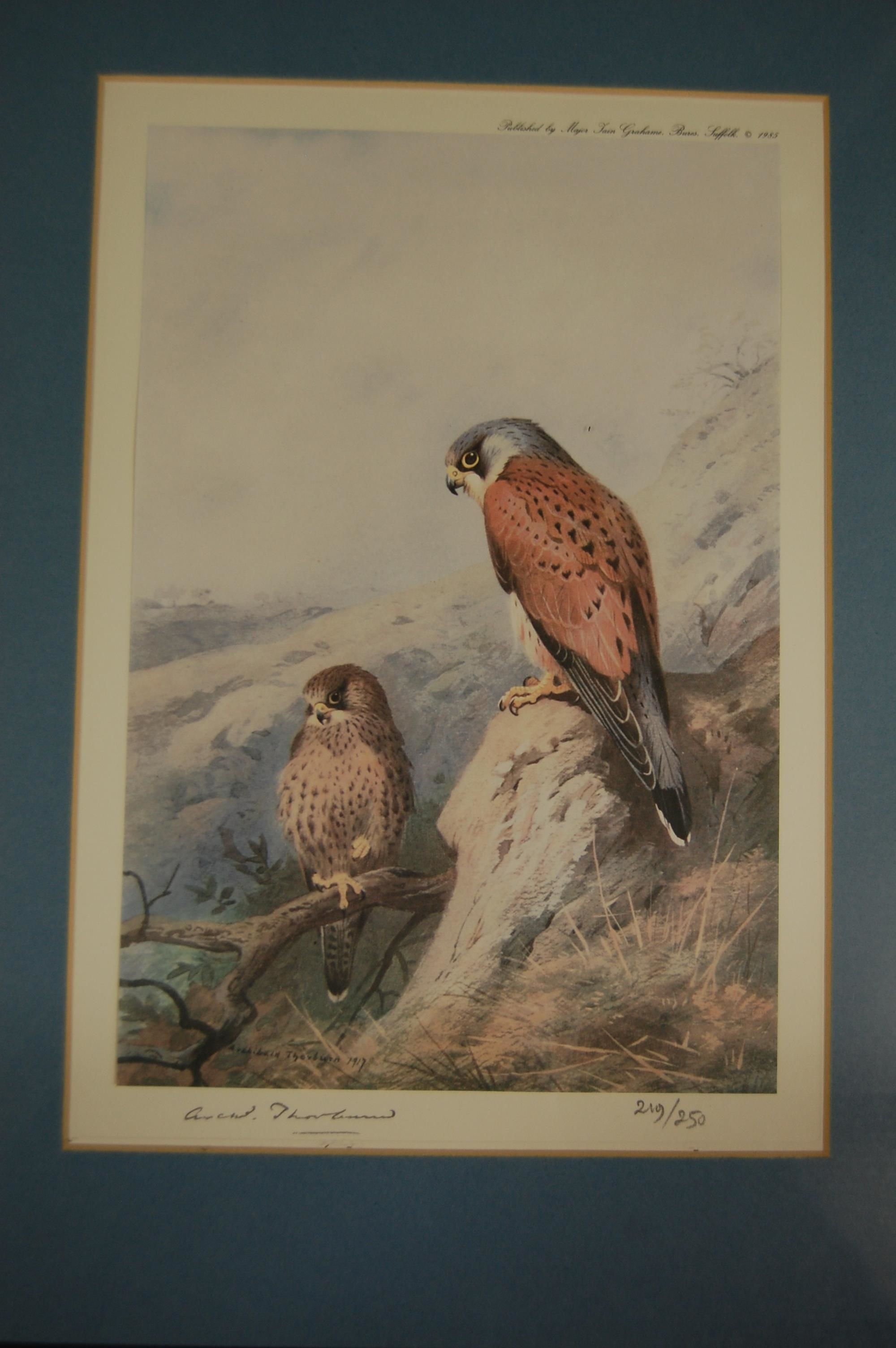 Archibald Thorburn | Archibald Thorburn - set of four limited edition ...