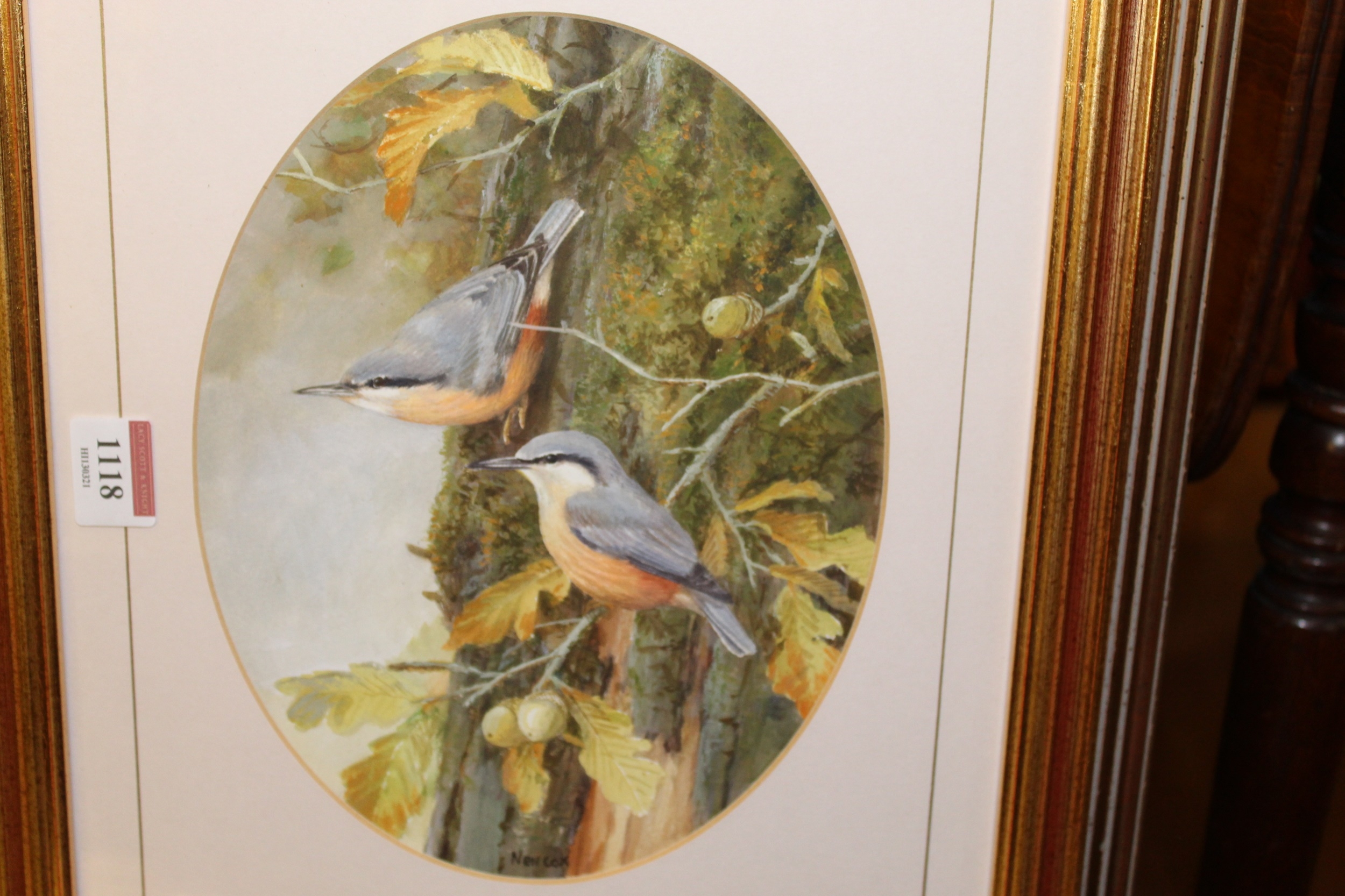 Neil Cox | - Nut-hatches on an oak tree | MutualArt