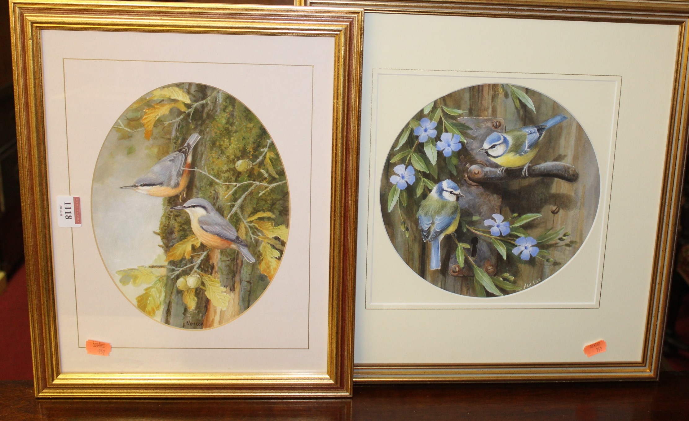 Neil Cox | - Nut-hatches on an oak tree | MutualArt