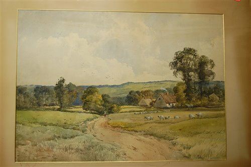 F. Davis | F. Davis - Sheep grazing within an extensive landscape ...