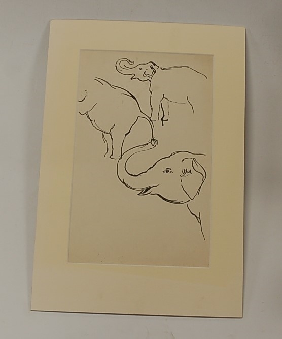 Clifford Hall | - A series of drawings of circus animals | MutualArt