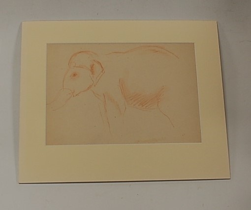 Clifford Hall | - A series of drawings of circus animals | MutualArt