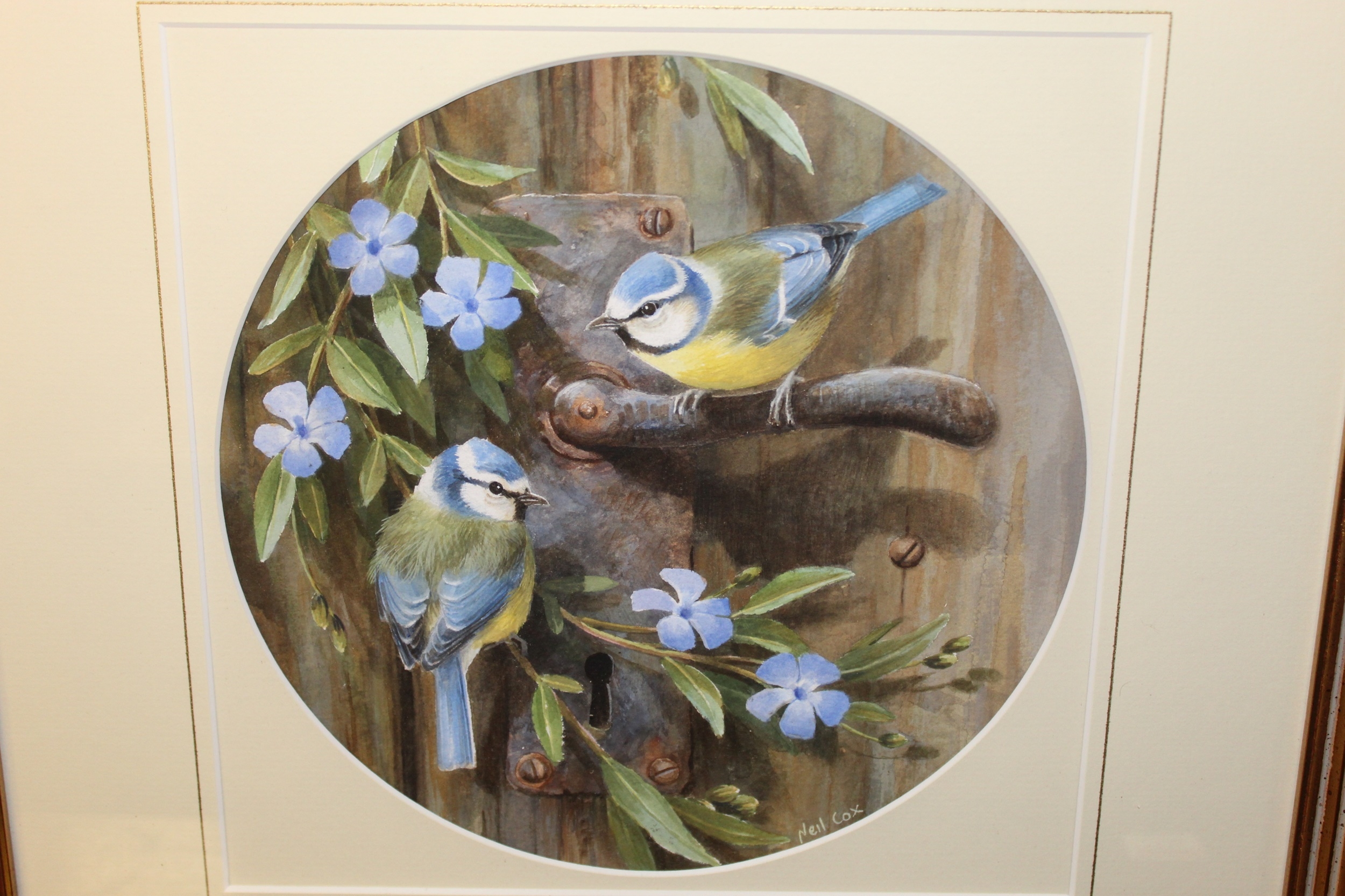 Neil Cox | - Nut-hatches on an oak tree | MutualArt