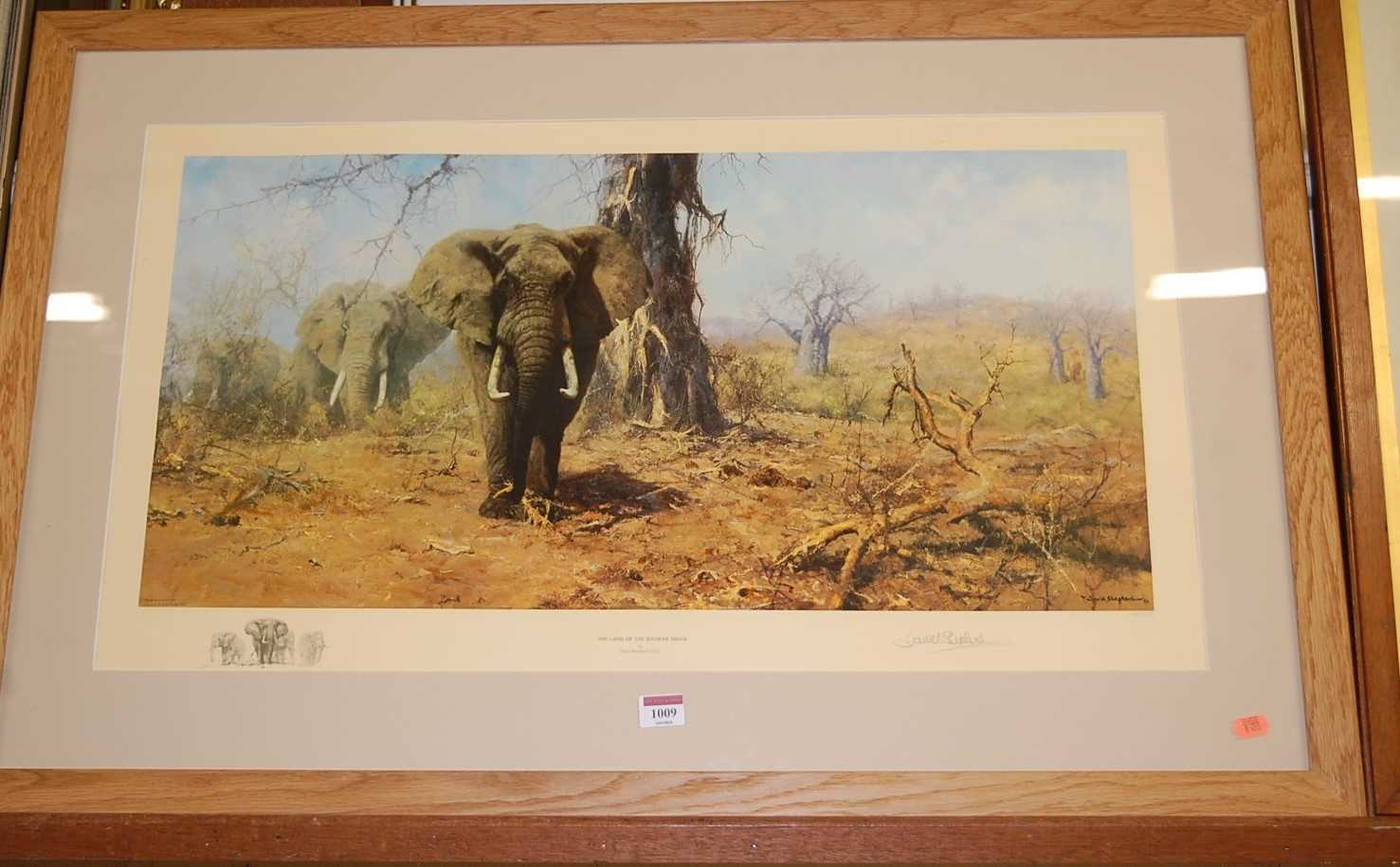 David Shepherd | - The Land of the Baobab Trees | MutualArt