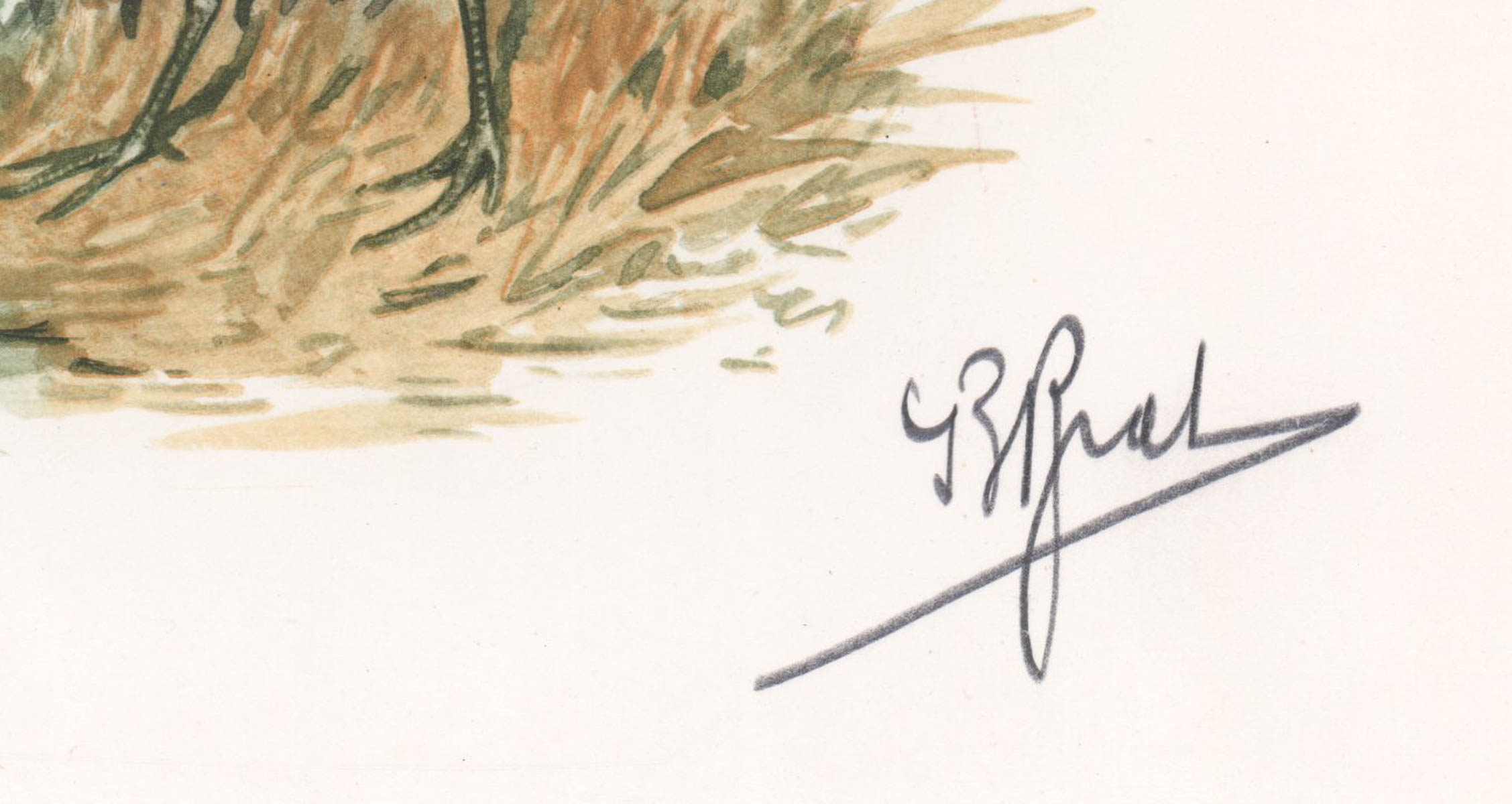 Boris Riab | Birds | MutualArt