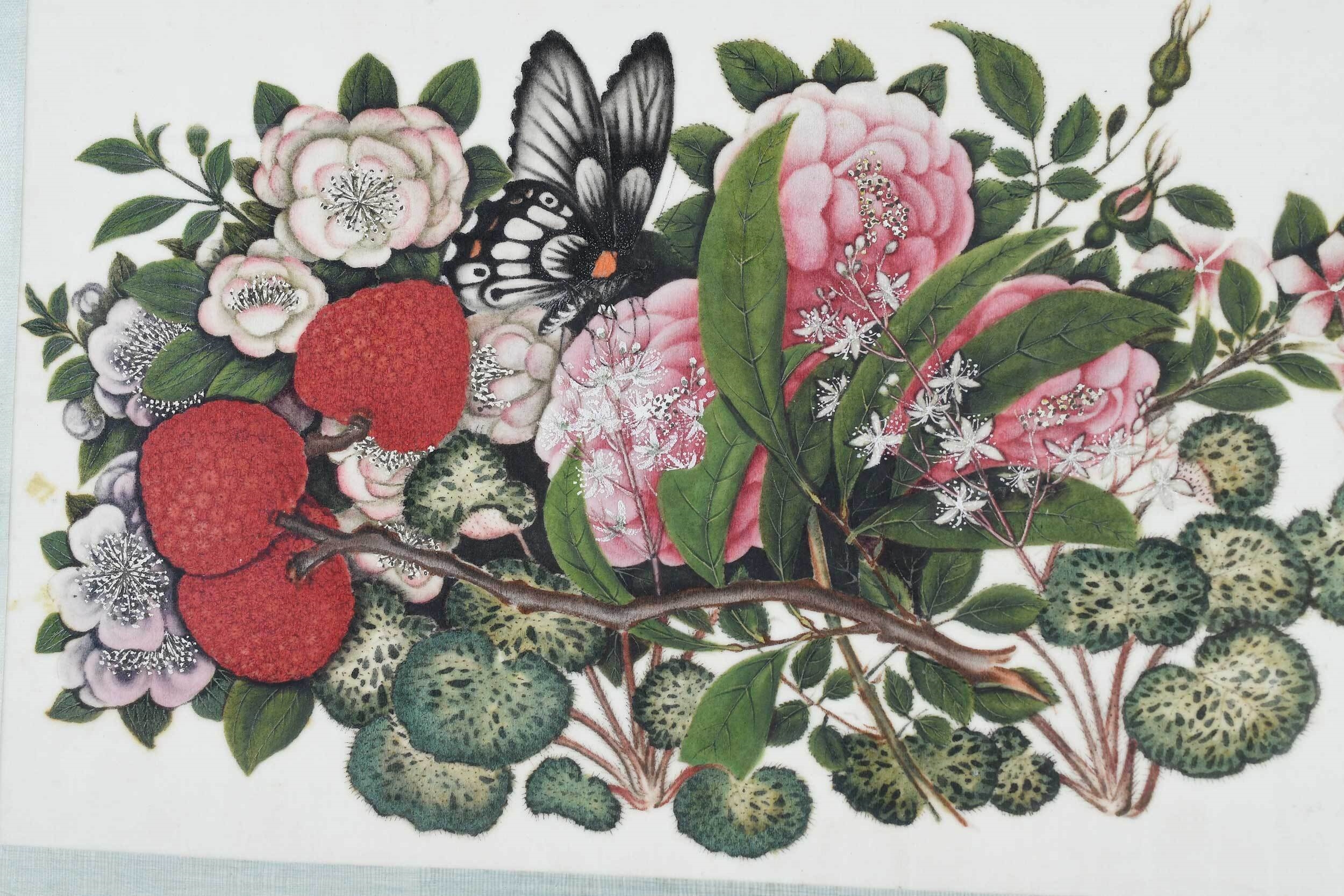 Asian School, 20th Century | 12 Framed Asian Pith Paintings | MutualArt