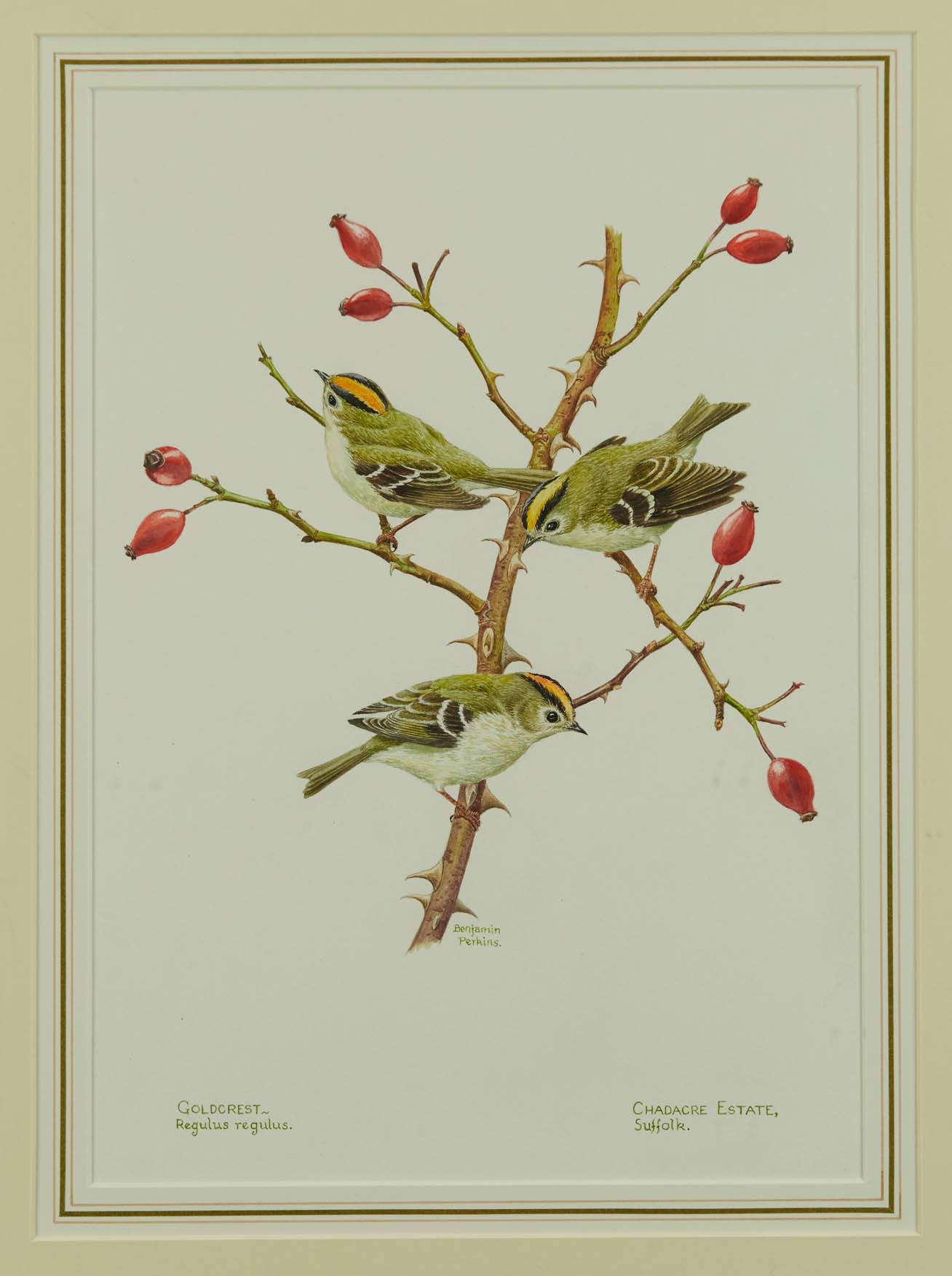 Benjamin Perkins | Goldcrest, Chadacre Estate, Suffolk | MutualArt