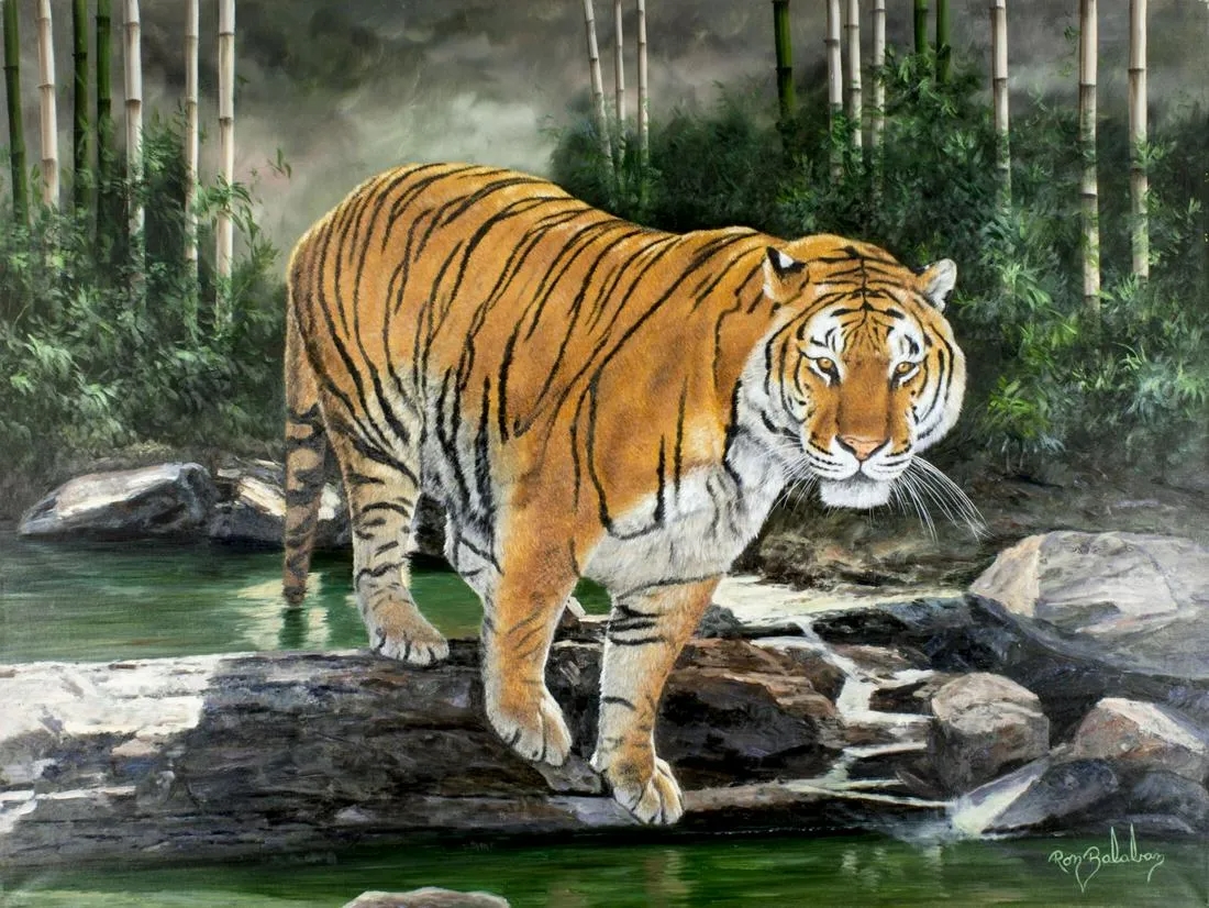 Ron Balaban | Bengal Tiger | MutualArt