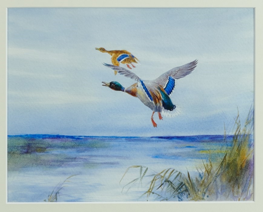William E. Powell | Mallards | MutualArt