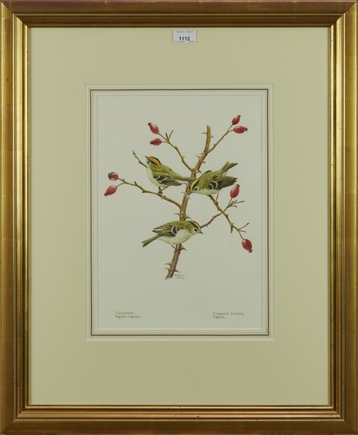 Benjamin Perkins | Goldcrest, Chadacre Estate, Suffolk | MutualArt