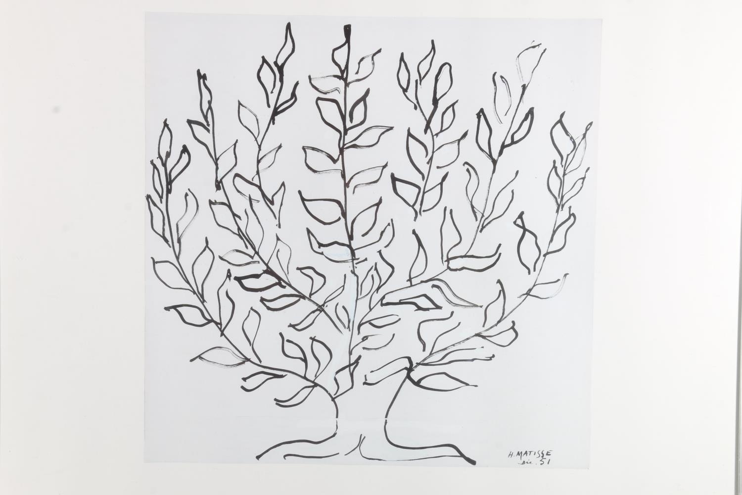 Henri Matisse | The Plain Tree (1951) | MutualArt