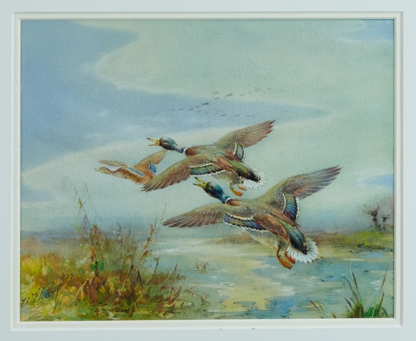 William E. Powell | Mallards | MutualArt