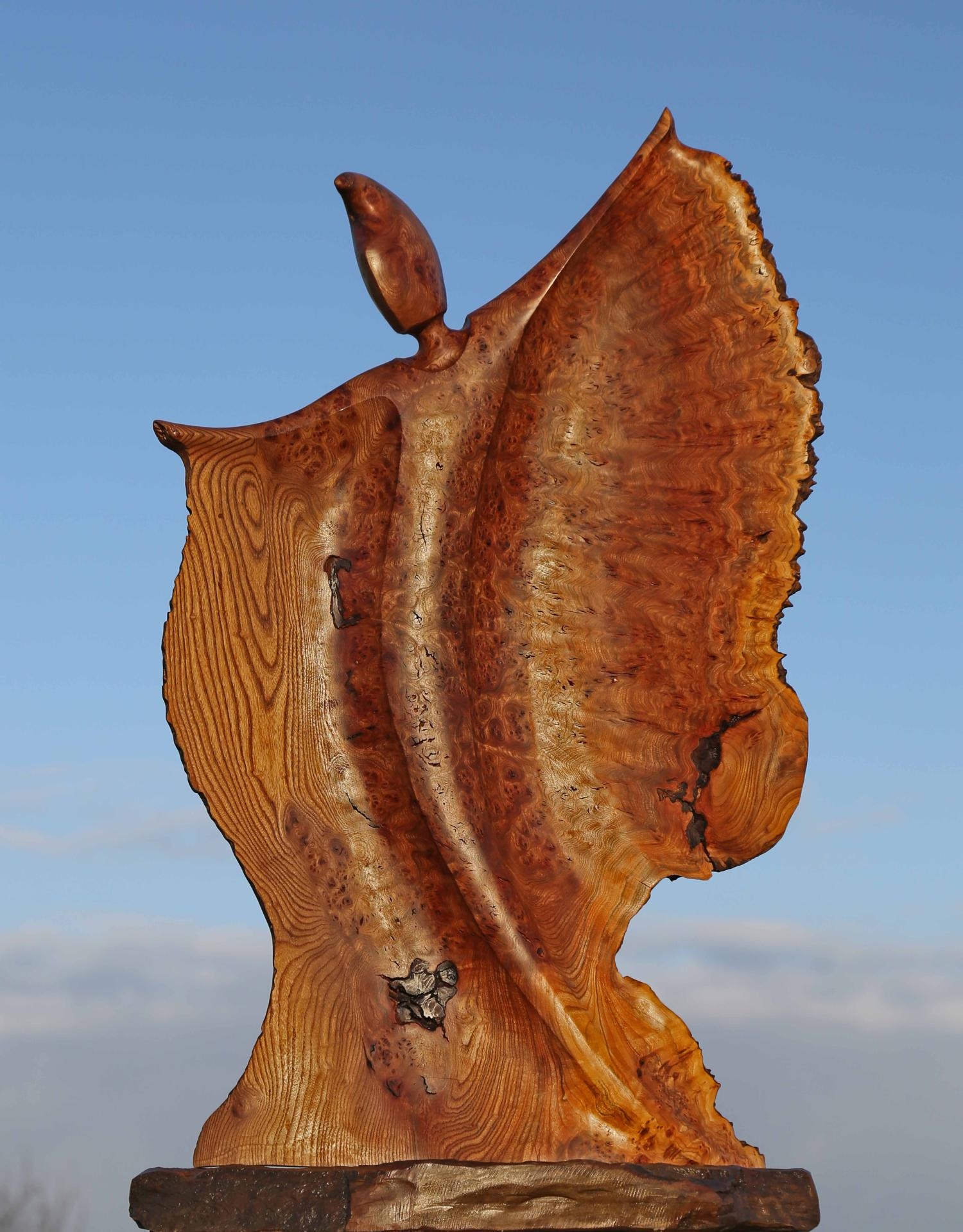 Michael Mcmanus | Burr Elm Angel | MutualArt