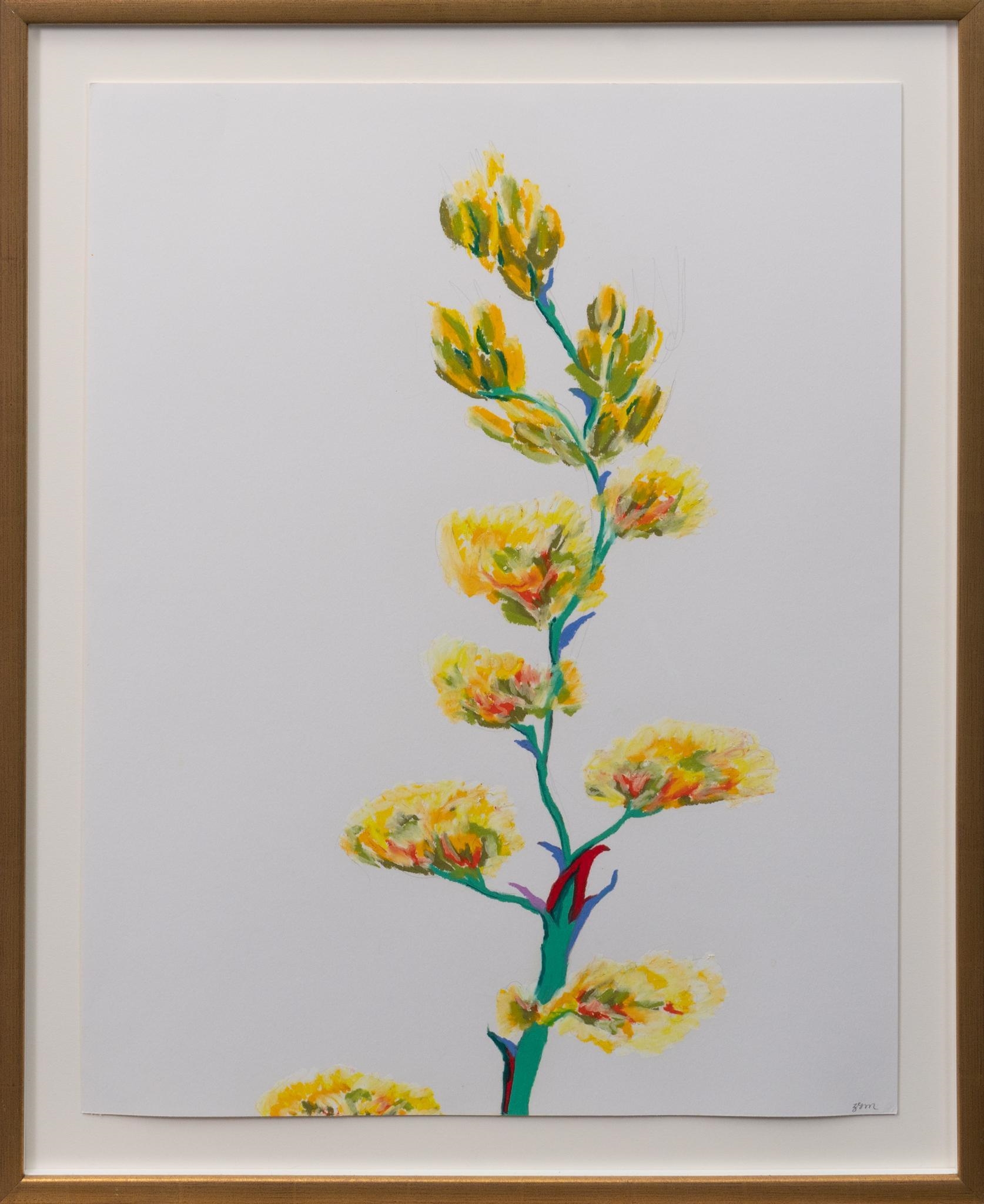 Zelime Matthews | Yucca Quadtych | MutualArt