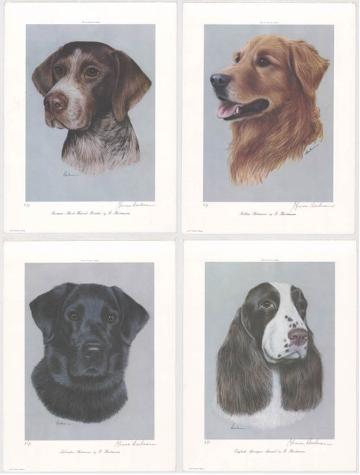 Glenna Hartmann | Portfolio with four lithographs | MutualArt