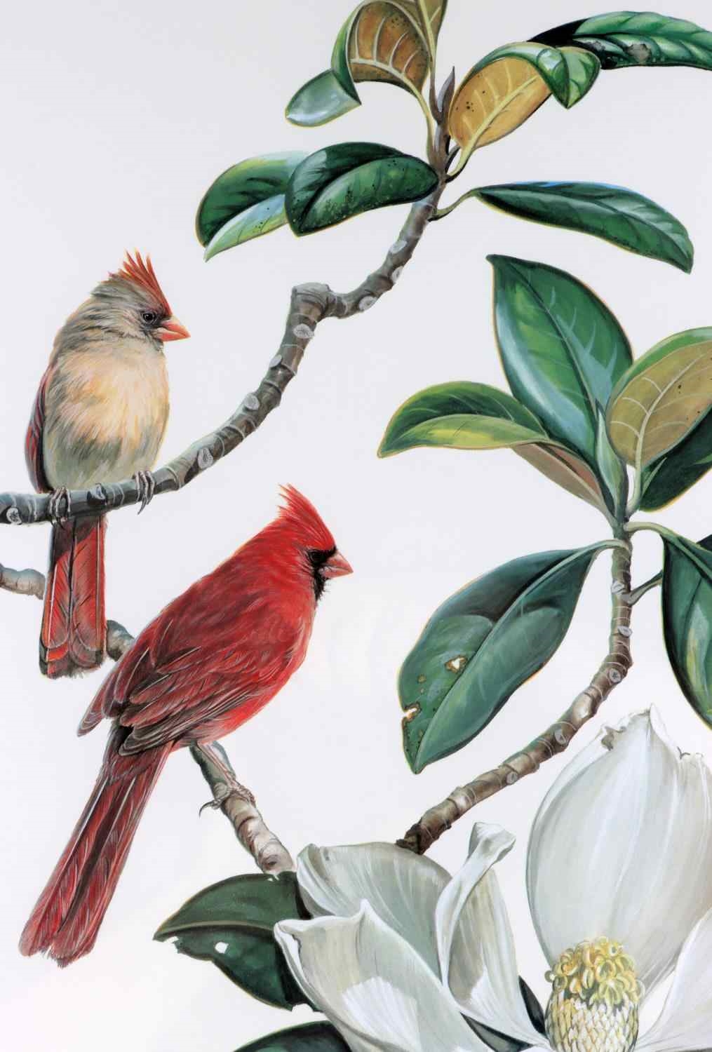 W. Stanley Proctor | Cardinals in a Magnolia Tree | MutualArt