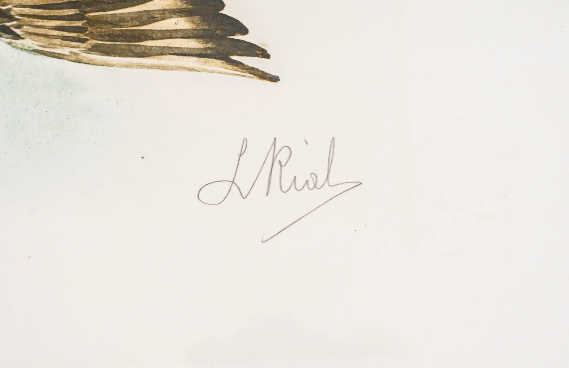 Boris Riab | Hunting Dog | MutualArt