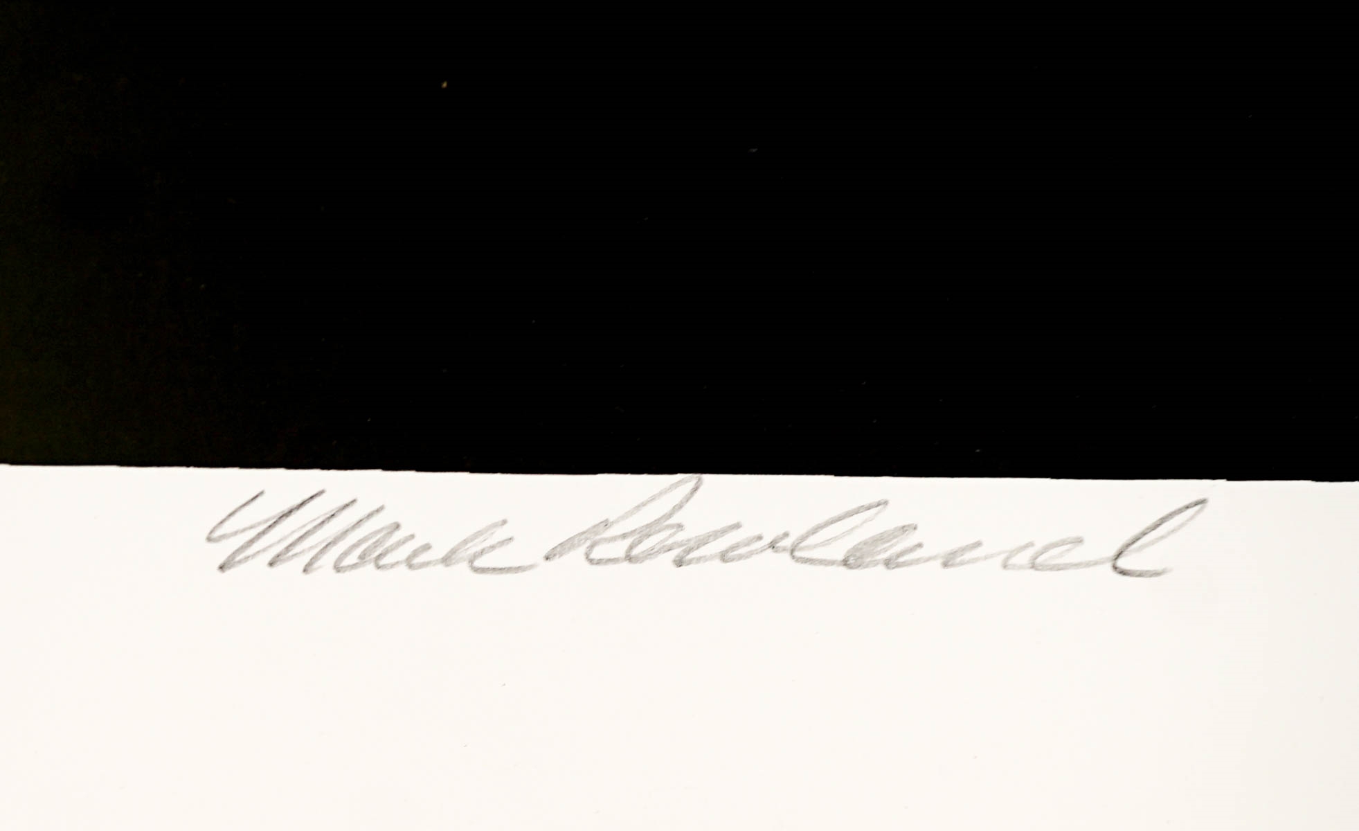 Mark Rowland | Gamut | MutualArt