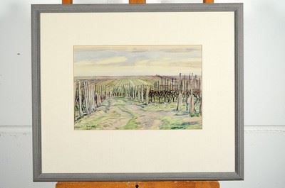 Werner Brand | landscape with rows of vines (87) | MutualArt