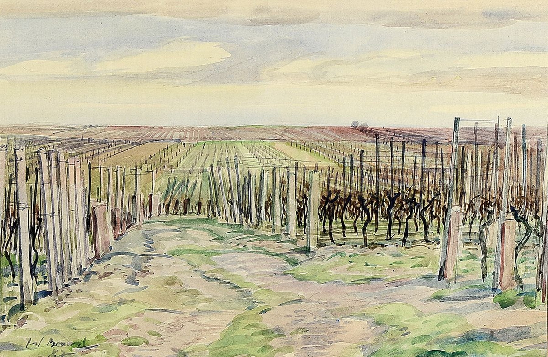 Werner Brand | Landscape with rows of vines (87) | MutualArt